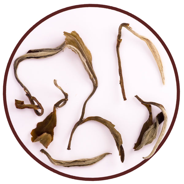 Yellow Tea | Leilani Fine Tea